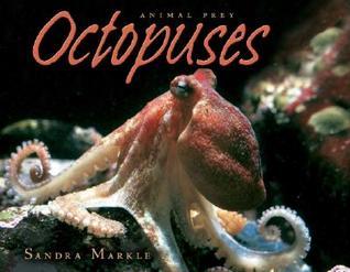 Octopuses (Animal Prey) by Sandra Markle | Goodreads