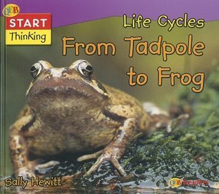From Tadpole to Frog (Start Thinking) by Sally Hewitt | Goodreads