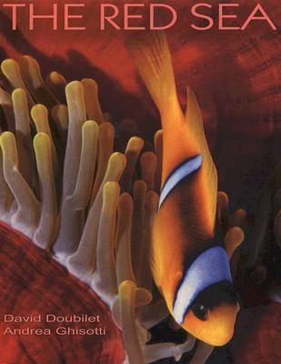 The Red Sea by David Doubilet | Goodreads