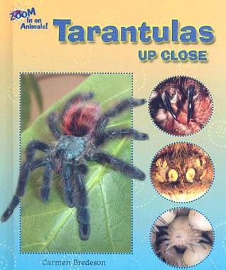 Tarantulas Up Close (Zoom in on Animals!) by Carmen Bredeson | Goodreads