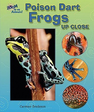 Poison Dart Frogs Up Close (Zoom in on Animals!) by Carmen Bredeson ...