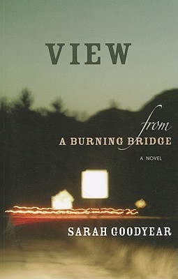 VIEW FROM A BURNING BRIDGE by Sarah Goodyear | Goodreads