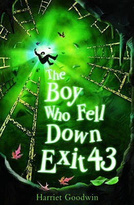 The Boy Who Fell Down Exit 43 by Harriet Goodwin | Goodreads