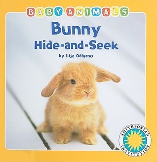 Bunny Hide-and-Seek (Baby Animals) by Lisa Odierno | Goodreads