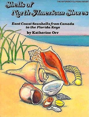 Shells of North American Shores: East Coast Seashells from Canada to ...