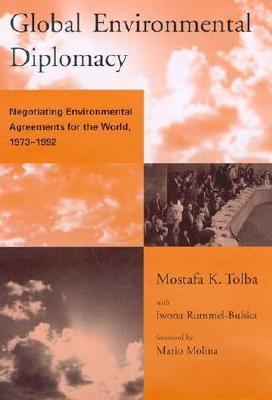 Global Environmental Diplomacy: Negotiating Environmental Agreements ...