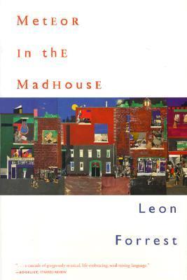 Meteor in the Madhouse by Leon Forrest | Goodreads