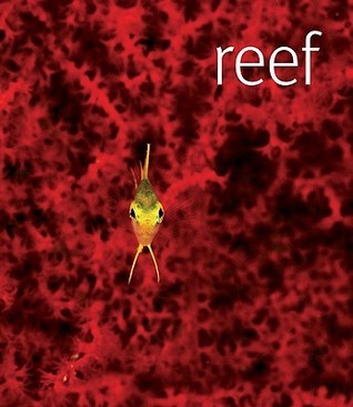 Reef by Thomas Marent | Goodreads
