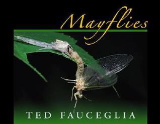 Mayflies by Ted Fauceglia | Goodreads