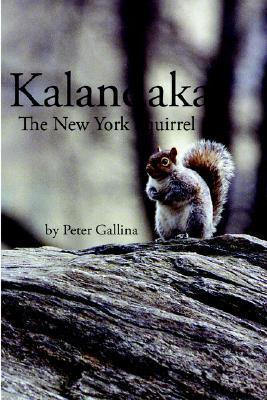 Kalandaka, the New York Squirrel by Peter Gallina | Goodreads