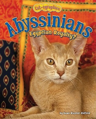 Abyssinians: Egyptian Royalty? by Dawn Bluemel Oldfield | Goodreads