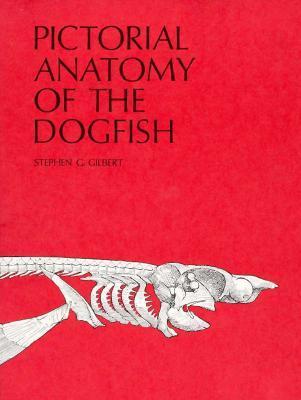 Pictorial Anatomy of the Dogfish by Stephen G. Gilbert | Goodreads