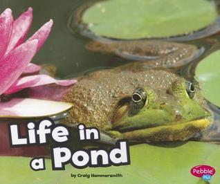 Life in a Pond by Craig Hammersmith | Goodreads