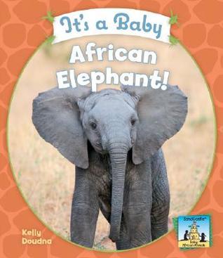 It's a Baby African Elephant! (Baby African Animals) by Kelly Doudna ...