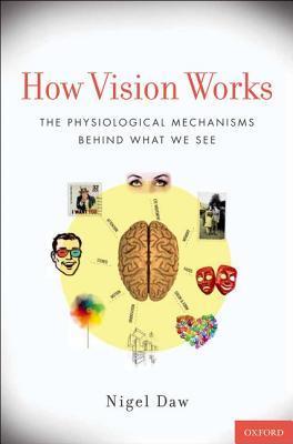 How Vision Works: The Physiological Mechanisms Behind What We See by ...