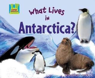 What Lives in Antarctica? (Animal Habitats) by Oona Gaarder-Juntti ...