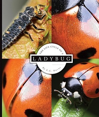 The Life Cycle of a Ladybug (Life Cycles) by L.L. Owens | Goodreads