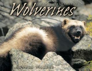 Wolverines (Animal Scavengers) by Sandra Markle | Goodreads