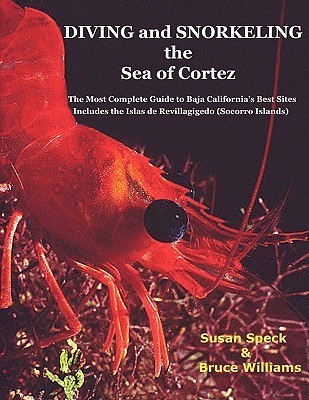 Diving and Snorkeling Baja California’s Sea of Cortez: The Most ...