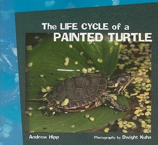 The Life Cycle of a Painted Turtle (Life Cycles) by Andrew Hipp | Goodreads
