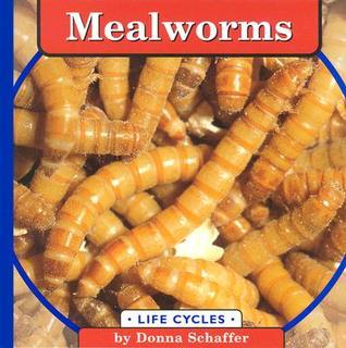 Mealworms (Life Cycles) by Donna Schaffer | Goodreads