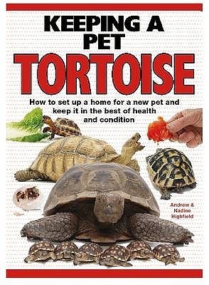 Keeping a Pet Tortoise: How to Set Up a Home for a New Pet and Keep It ...