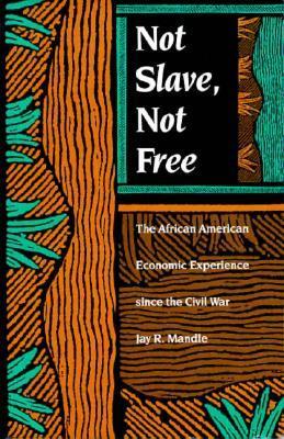 Not Slave, Not Free: The African American Economic Experience Since the ...