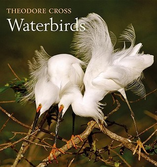 Waterbirds by Theodore Cross | Goodreads