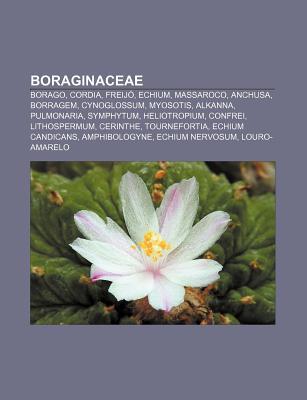 Boraginaceae: Borago, Cordia, Freijo, Echium, Massaroco, Anchusa ...