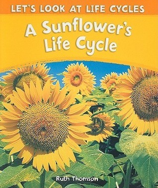 A Sunflower's Life Cycle (Let's Look at Life Cycles) by Ruth Thomson ...
