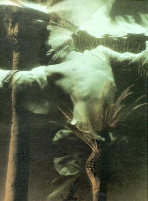 Compound Fracture by Robert Flynt | Goodreads