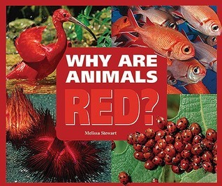 Why Are Animals Red? (Rainbow of Animals) by Melissa Stewart | Goodreads