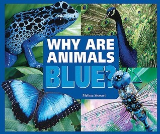 Why Are Animals Blue? (Rainbow of Animals) by Melissa Stewart | Goodreads
