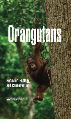 Orangutans: Behavior, Ecology, and Conservation by Junaidi Payne ...