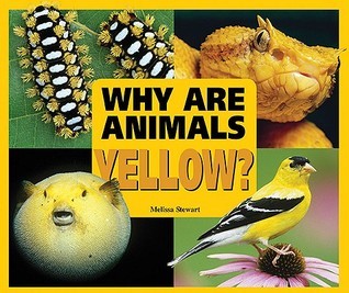Why Are Animals Yellow? (Rainbow of Animals) by Melissa Stewart | Goodreads