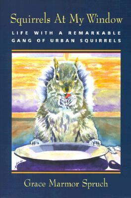 Squirrels at My Window: Life With a Remarkable Gang of Urban Squirrels ...
