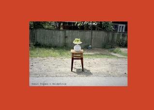 Roman Signer: Travel Photos by Roman Signer | Goodreads