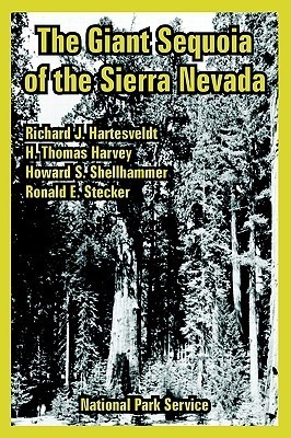 The Giant Sequoia of the Sierra Nevada by U.S. National Park Service ...
