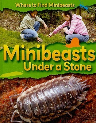 Minibeasts Under a Stone (Where to Find Minibeasts) by Sarah Ridley ...