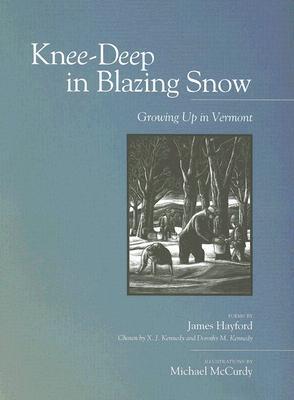 Knee-Deep in Blazing Snow by James Hayford | Goodreads