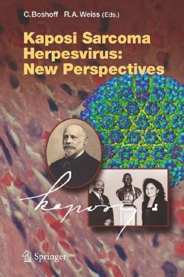 Kaposi Sarcoma Herpesvirus: New Perspectives by C. Boshoff | Goodreads