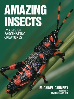Amazing Insects: Images of Fascinating Creatures by Michael Chinery ...