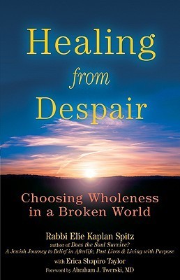 Healing from Despair: Choosing Wholeness in a Broken World by Rabbi ...