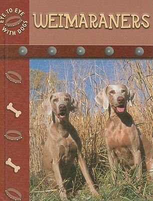 Weimaraners (Eye to Eye With Dogs) by Lynn M. Stone | Goodreads