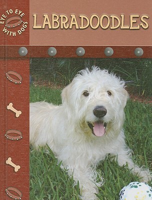 Labradoodles (Eye to Eye With Dogs) by Lynn M. Stone | Goodreads
