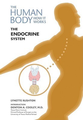 The Endocrine System (The Human Body-How It Works) by Lynette Rushton ...