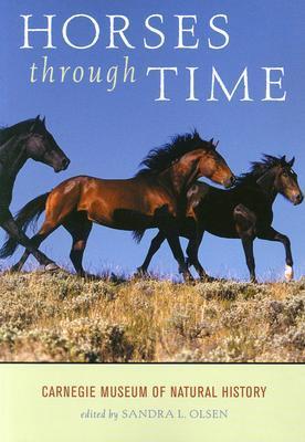 Horses through Time by Sandra L. Olsen | Goodreads