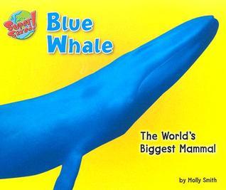 Blue Whale: The World's Biggest Mammal (Supersized!) by Molly Smith ...