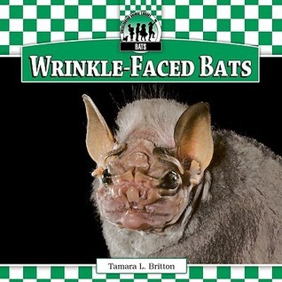 Wrinkle-faced Bats by Tamara L. Britton | Goodreads