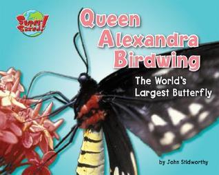 Queen Alexandra's Birdwing: The World's Largest Butterfly by John ...